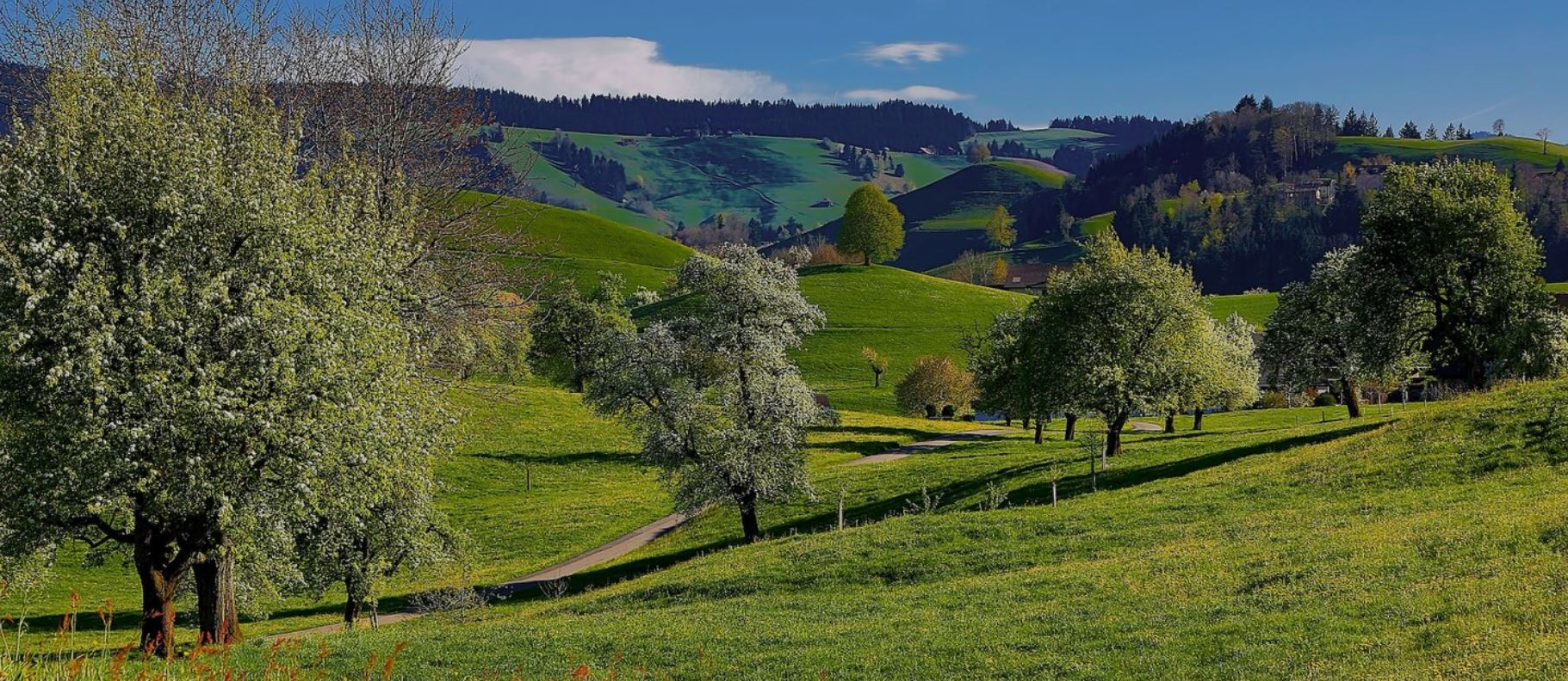 Burrawang | Participate Wingecarribee