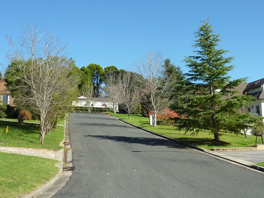 Street Tree Master Plan 2016 | Participate Wingecarribee