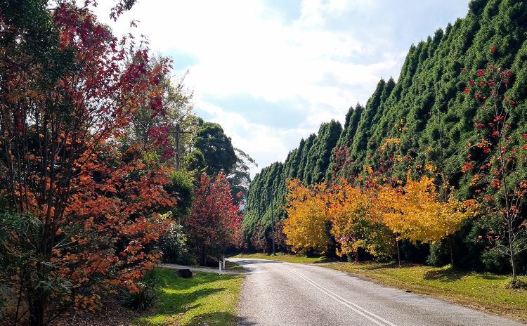 Burradoo | Participate Wingecarribee