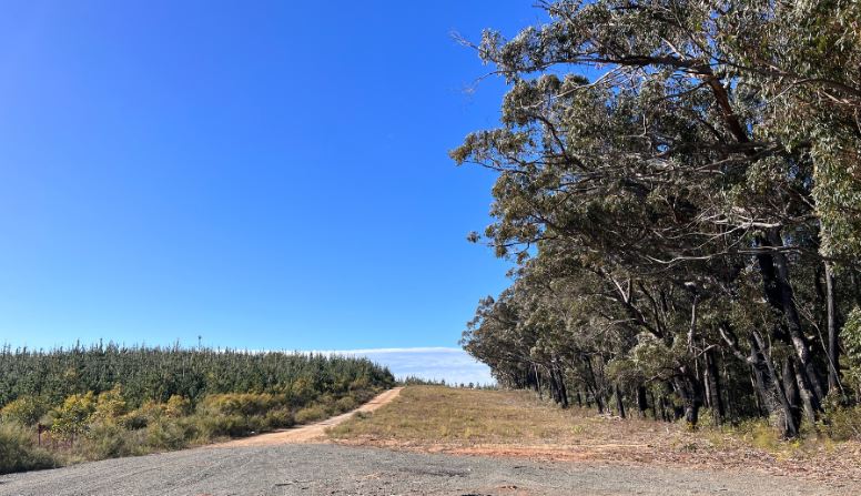 Wingello | Participate Wingecarribee